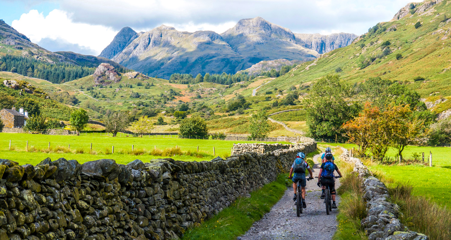 Skedaddle Classics, Your Way | Saddle Skedaddle